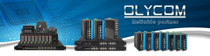 Realtek Gigabit ERPS Managed Switch Megabit 10Port Gigabit Support VLAN ...